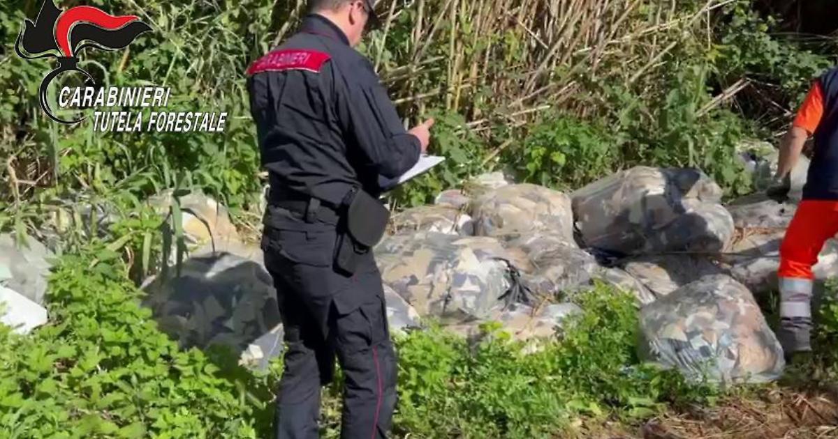 Conca di Agnano, blitz dei Forestali - Il Roma